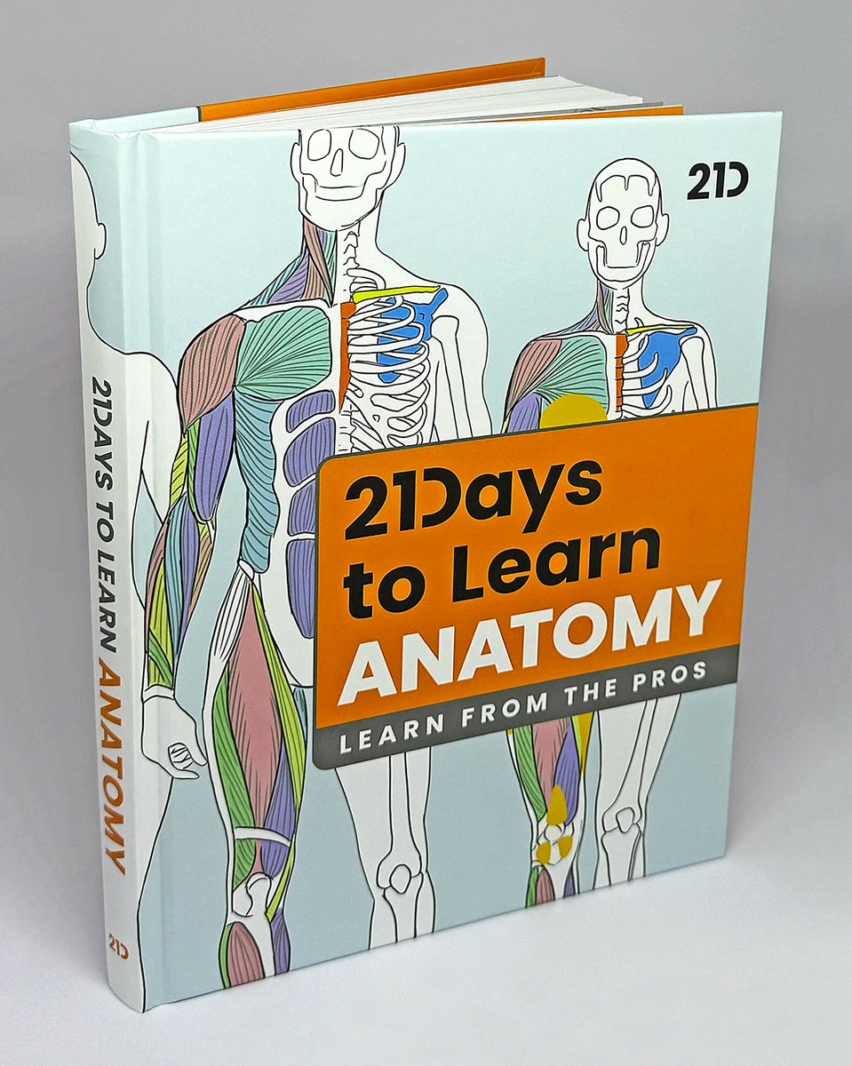 21 Days to Learn Anatomy (SPECIAL OFFER) – 21 Draw