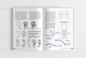 21 Days to Learn Anatomy - Master Figure Drawing – 21 Draw